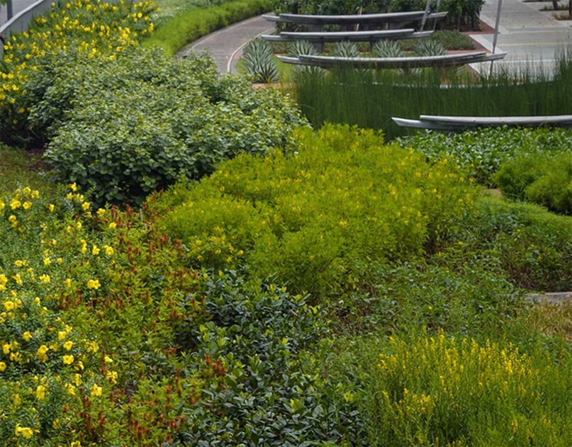 Landscapeindia