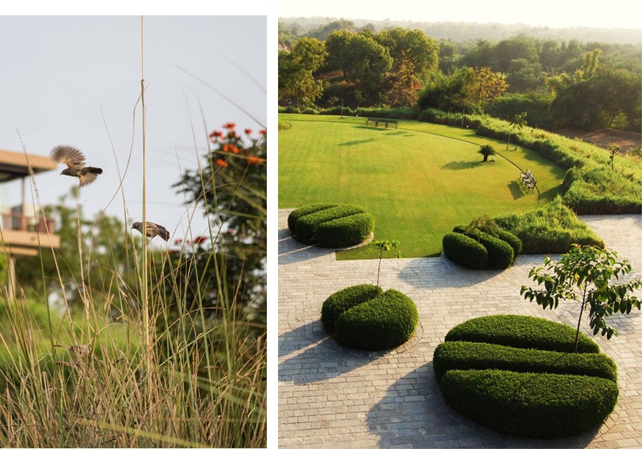 Landscapeindia