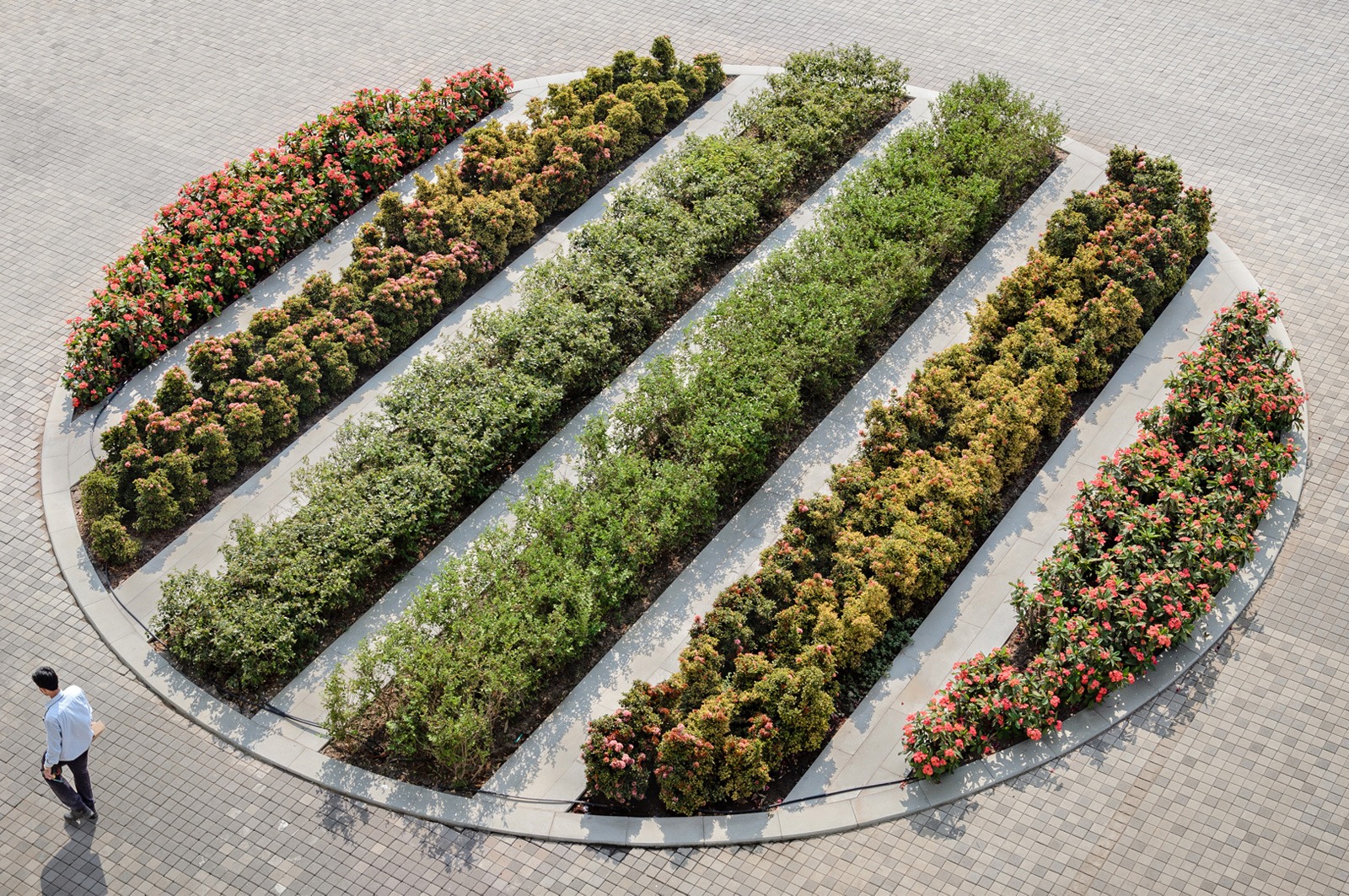 Landscapeindia
